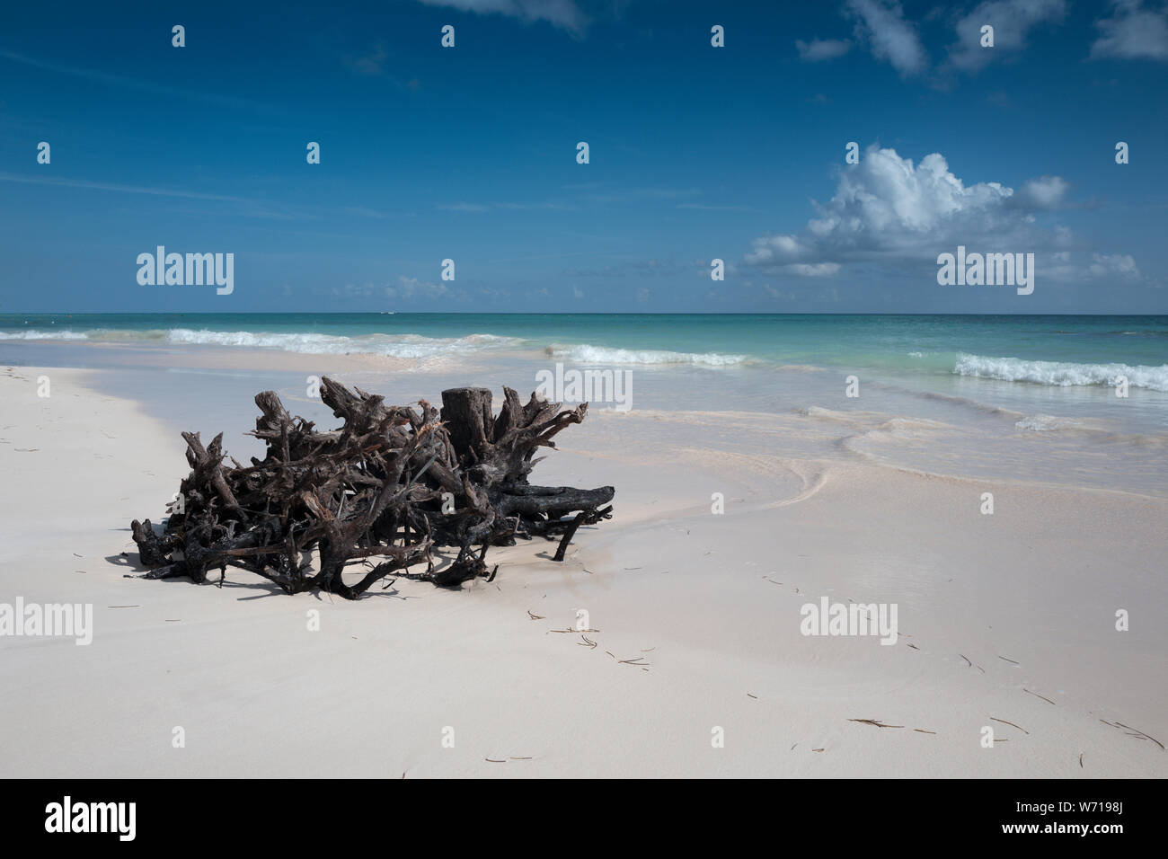 Castaway island hi-res stock photography and images - Alamy