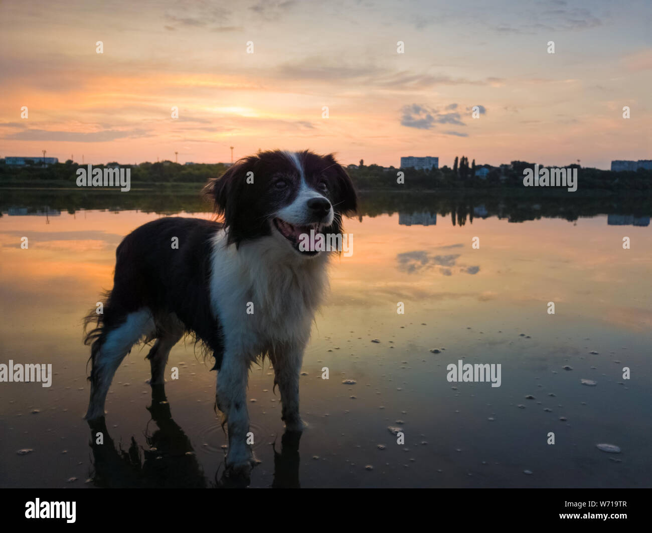 Love attentive reflection hi-res stock photography and images - Alamy