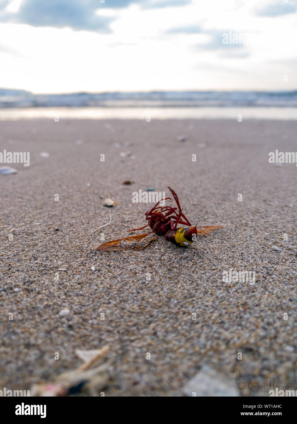 Worning colors hi-res stock photography and images - Alamy