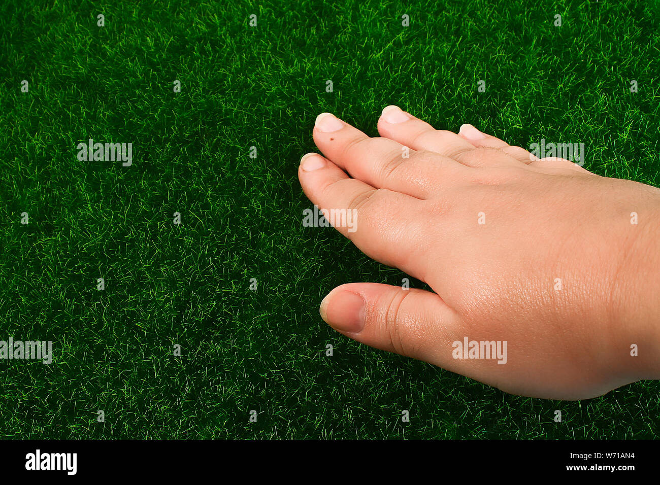 Hand touches the grass lawn. The concept of touch, tactility, feelings ...