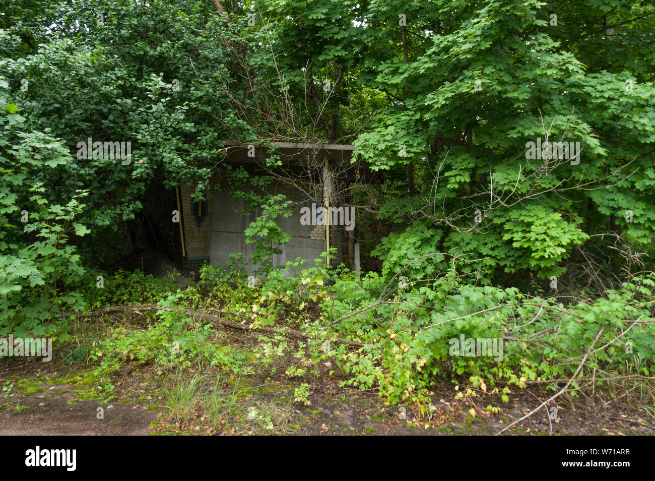 Brick stop in the forest. Old bus stop in the forest. The stop of ...