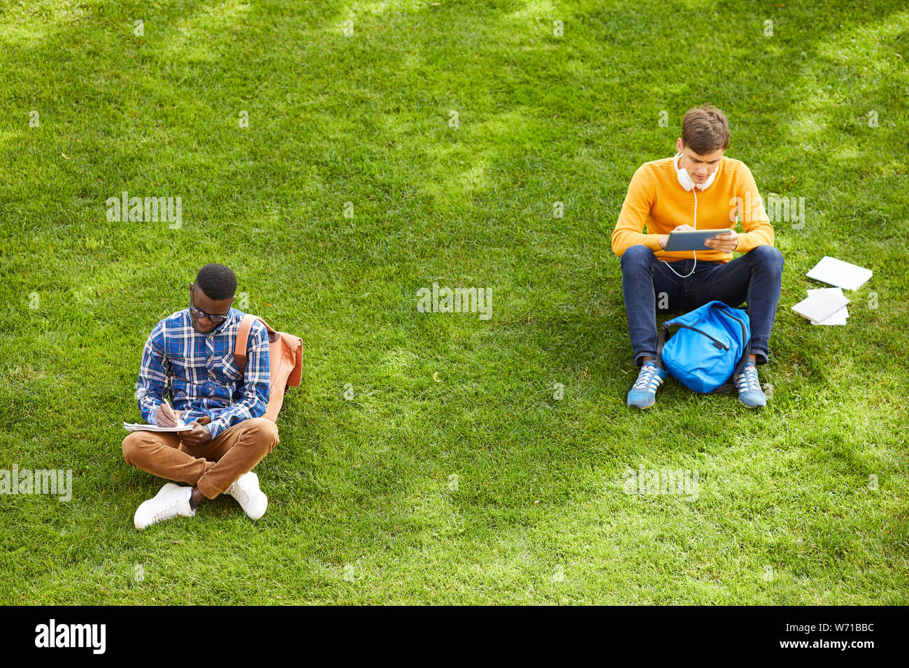 Wide angle portrait of two students sitting on green grass in college ...