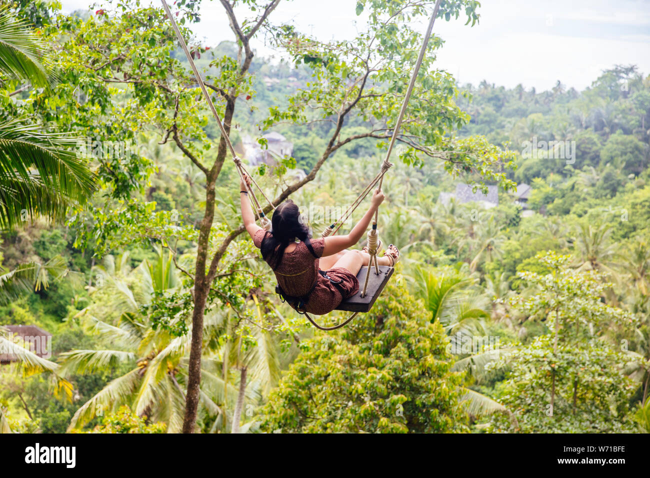 Young tourist woman swinging over the tropical rainforest at Bali ...