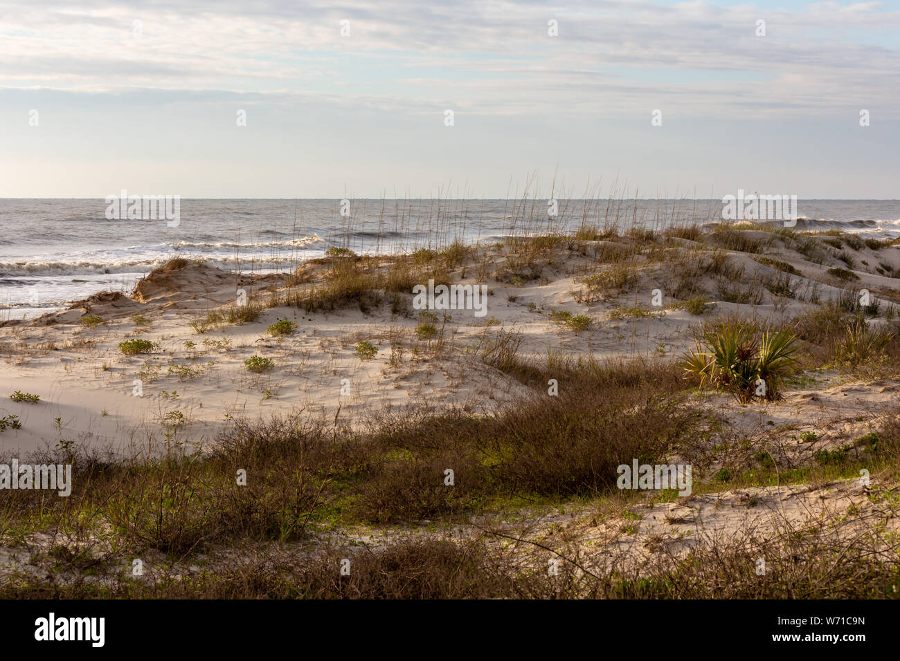 Natural beach sand and dunes on the Georgia coast Golden Isles Stock ...