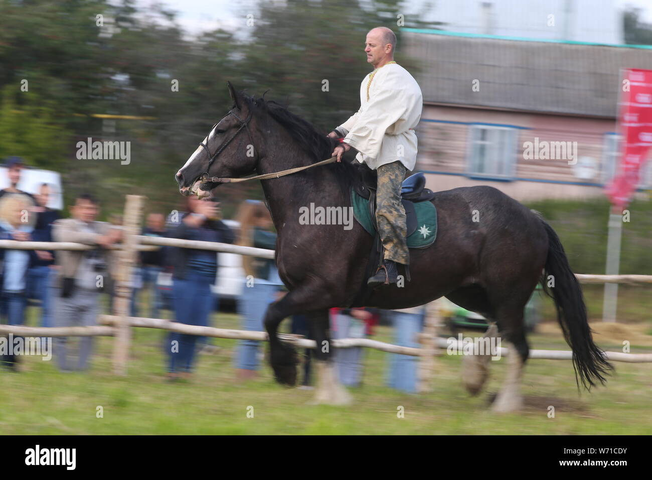 Russian Heavy Draft Horse High Resolution Stock Photography and Images ...