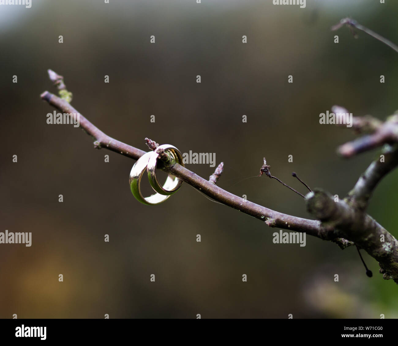 Civil partnership ceremony hi-res stock photography and images - Alamy