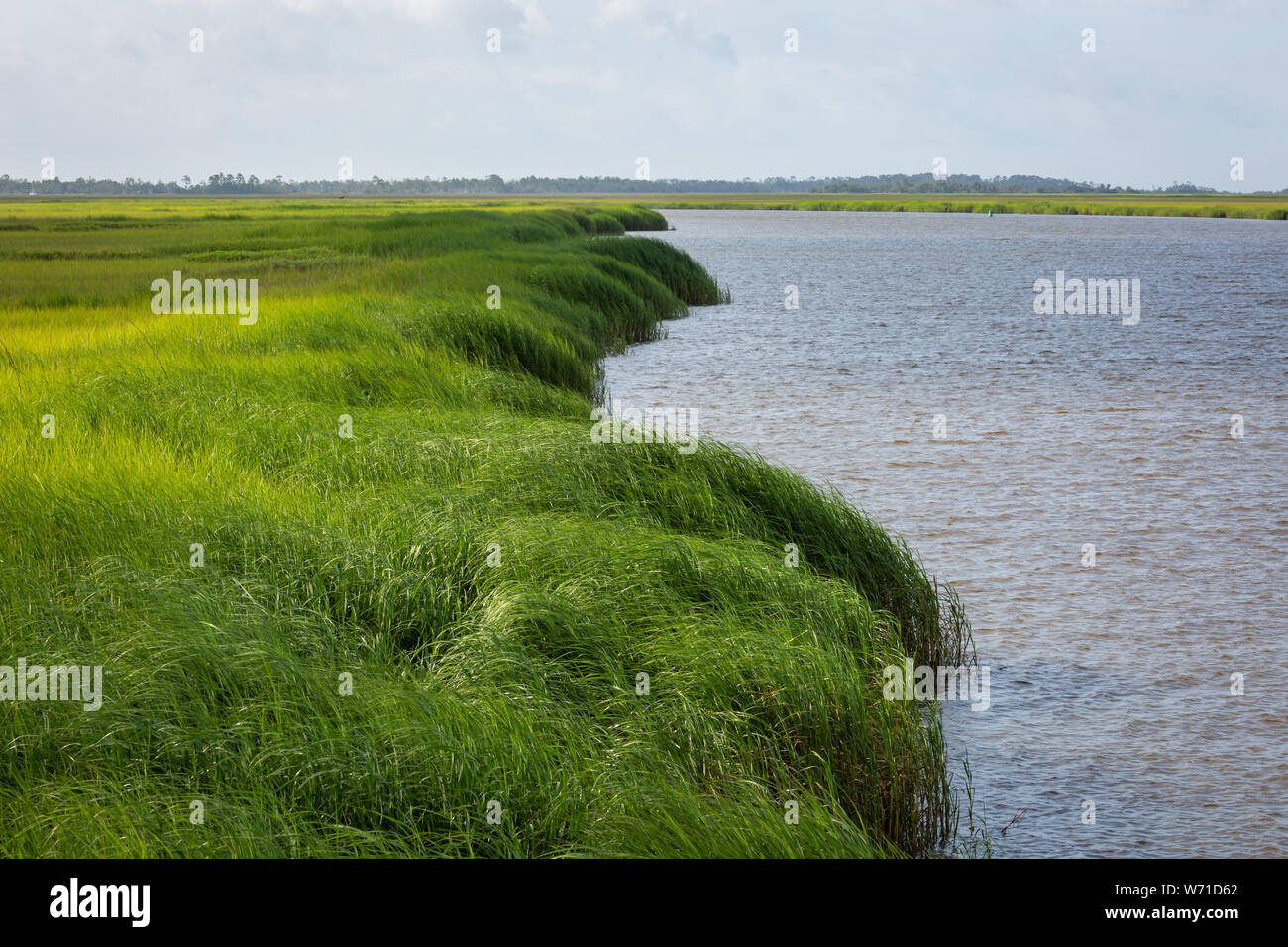 Coastal georgia marsh hi-res stock photography and images - Alamy