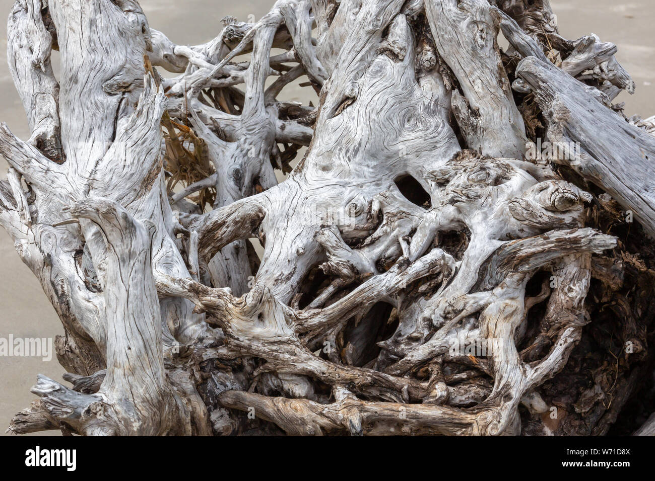 Georgia coast hi-res stock photography and images - Alamy