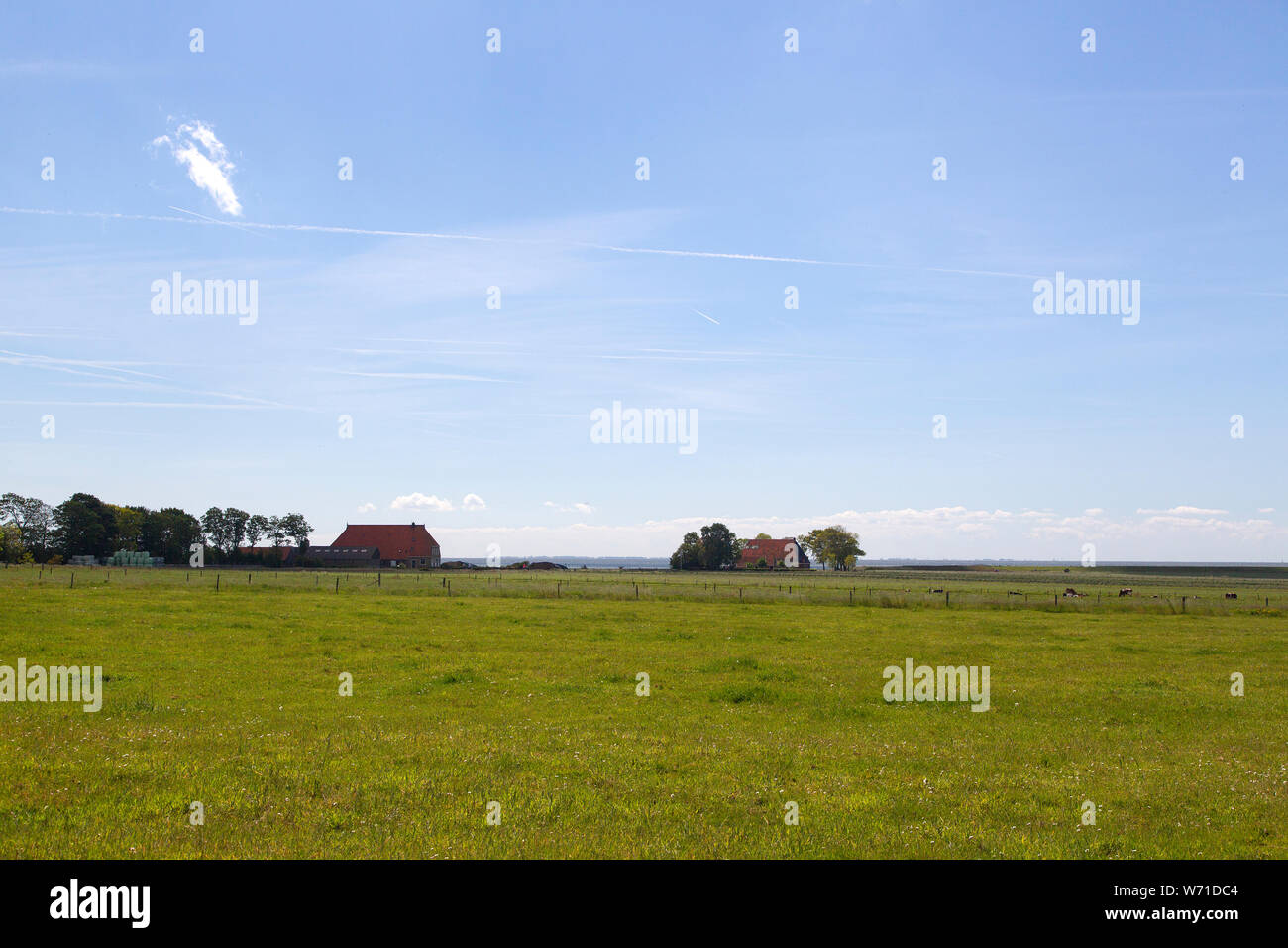 Typical rural landscape of southwestern part of Dutch province ...