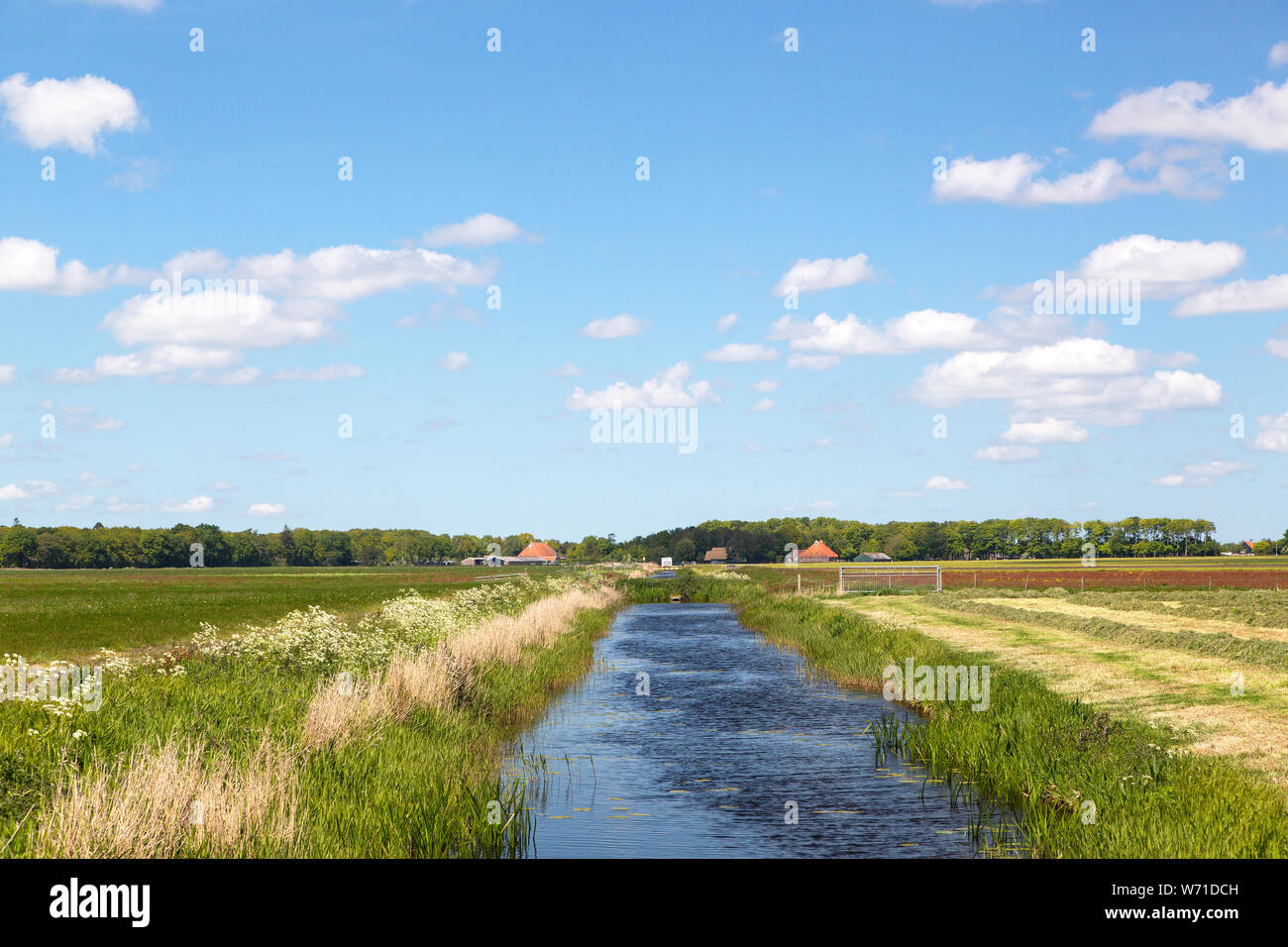 Typical rural landscape of southwestern part of Dutch province ...