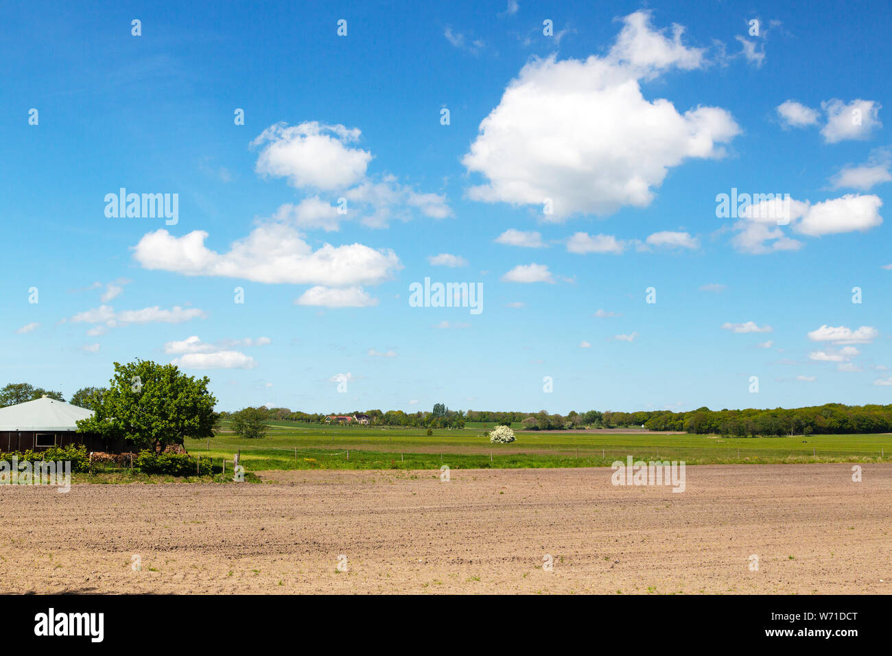 Typical rural landscape of southwestern part of Dutch province ...