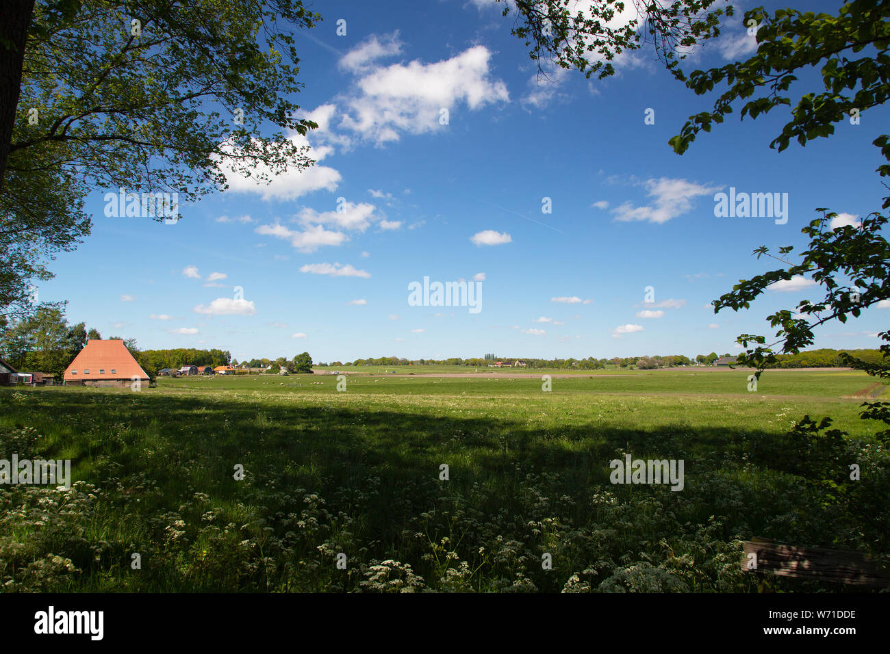 Typical rural landscape of southwestern part of Dutch province ...
