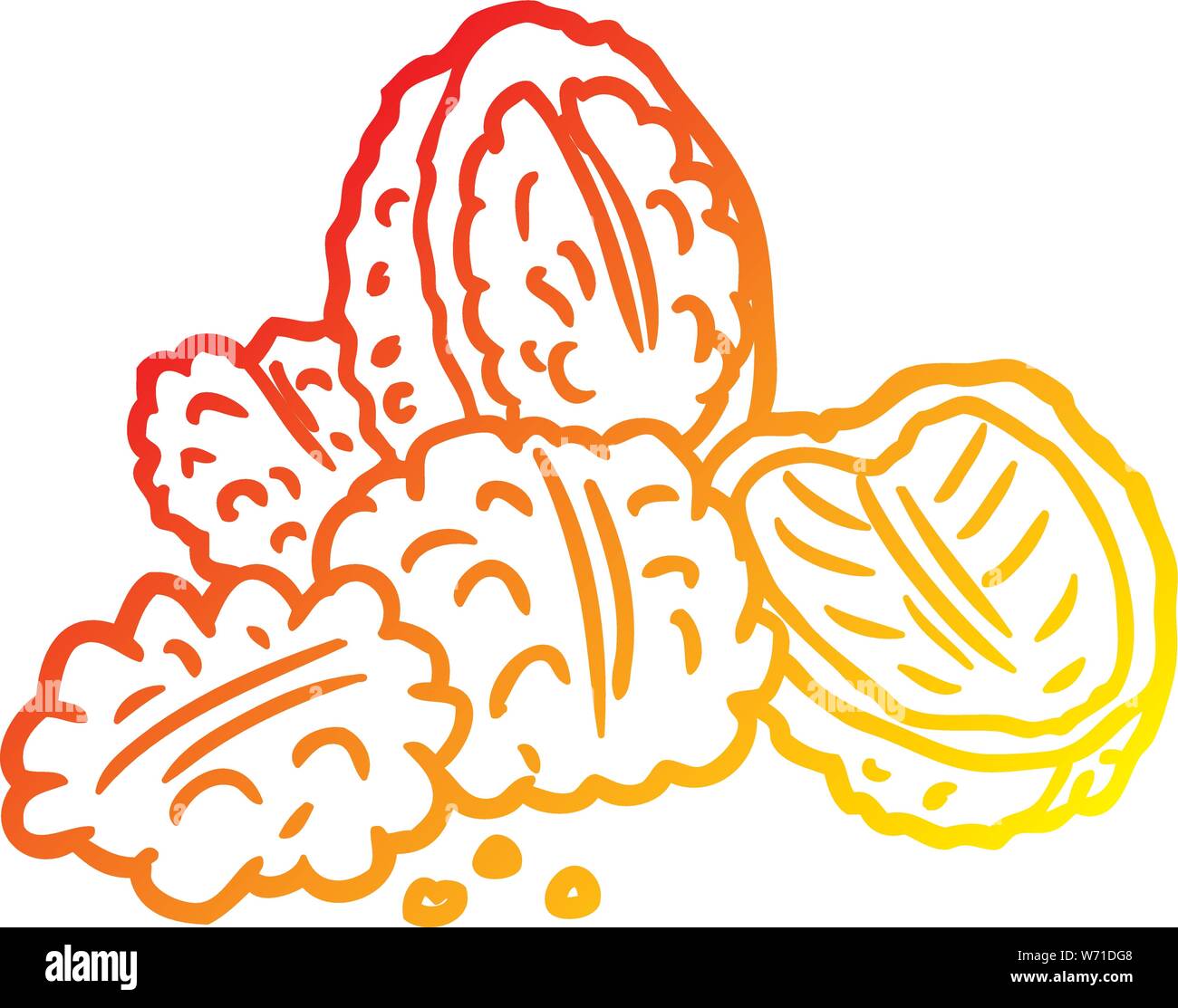 warm gradient line drawing of a walnuts Stock Vector Image & Art - Alamy