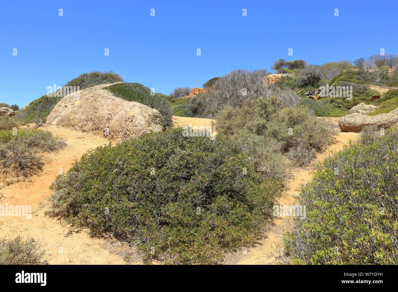 Sandy tracks through the rocky landscape of Caminho Da Baleeira Stock ...
