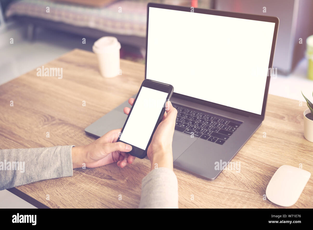 Business woman using laptop computer do online activity and holding ...