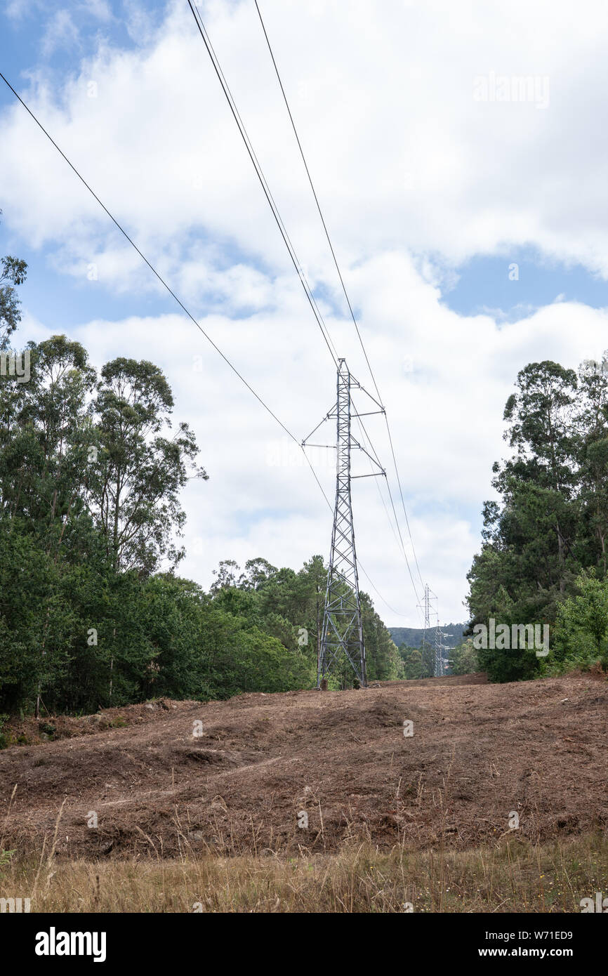 High voltage power line crossing a forest Stock Photo - Alamy