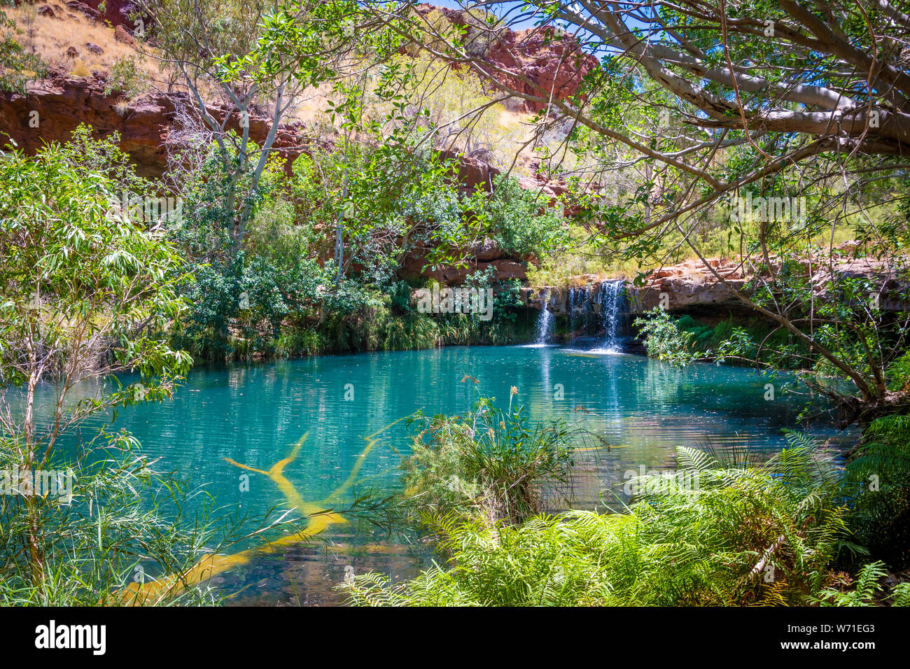 Beautiful Fern Pool behind Fortescue Falls in Dales Gorge at Karijini ...