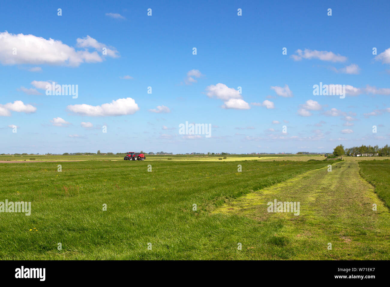Typical rural landscape of southwestern part of Dutch province ...