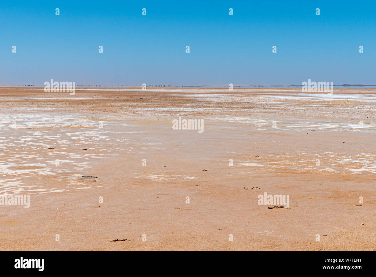 Lake Maclead arid salt lake in Western Australia mirage at the horizon ...