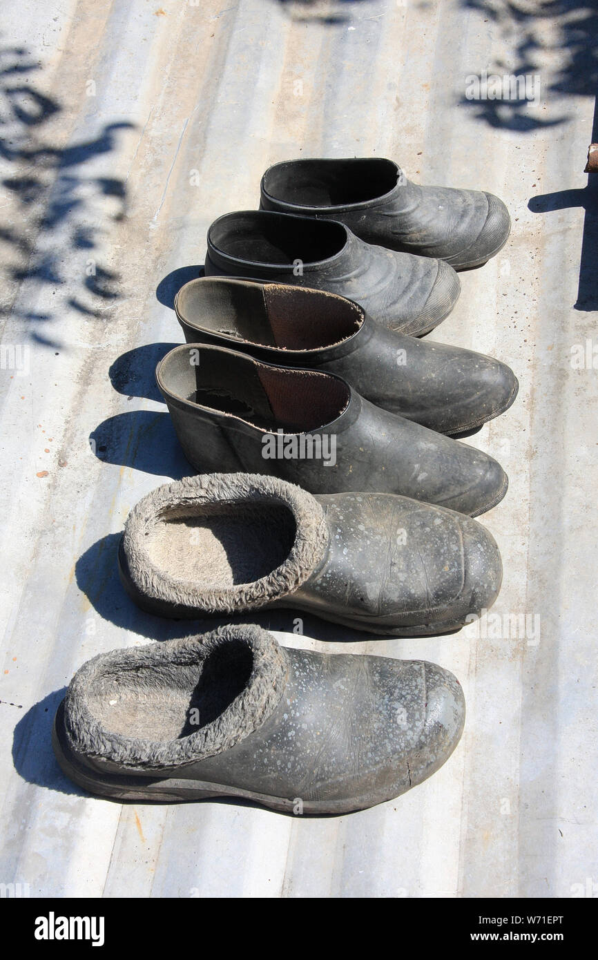 Life in country hi-res stock photography and images - Alamy