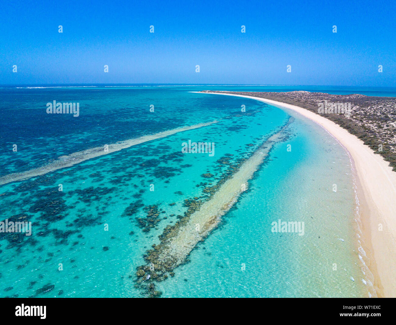 Ningaloo reef close to Coral Bay aerial image of Reef Shark breeding ...