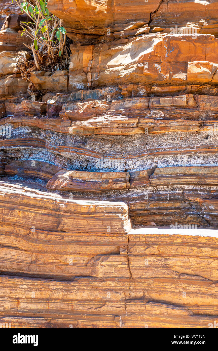 Streak of natural asbestos in rock layers in Dales Gorge at Karijini ...