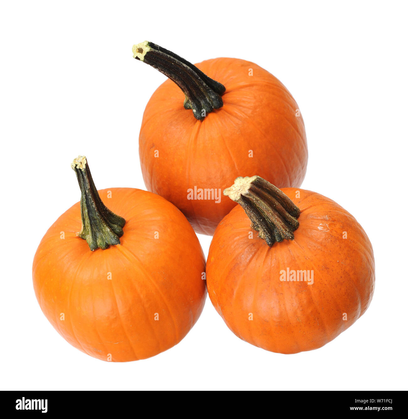 Three pumpkin isolated on white background Stock Photo - Alamy