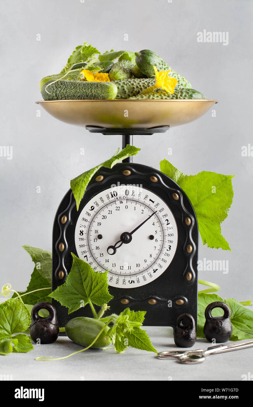 Large scale cooking hi-res stock photography and images - Alamy