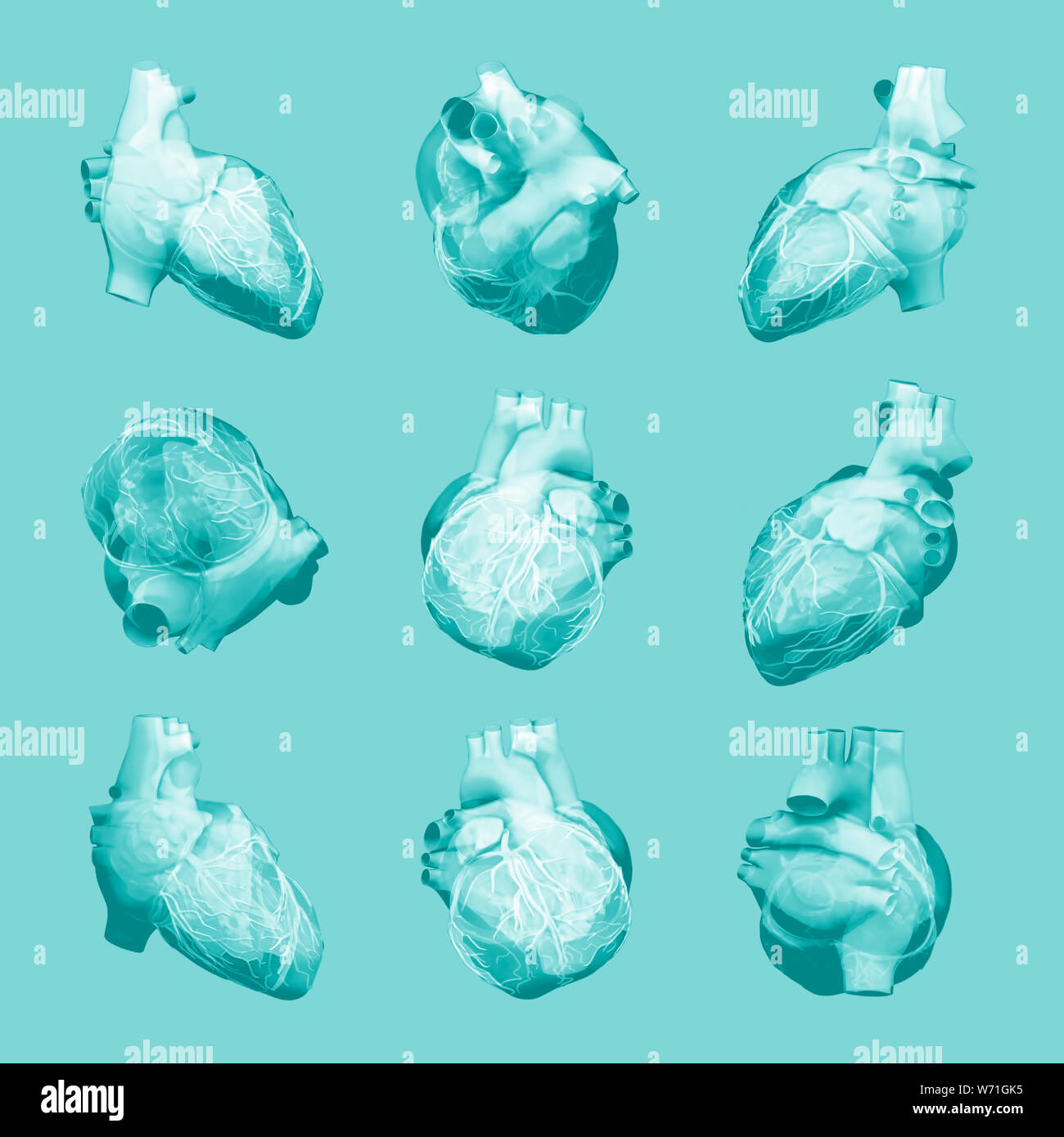 Healthy heart anatomy hi-res stock photography and images - Alamy