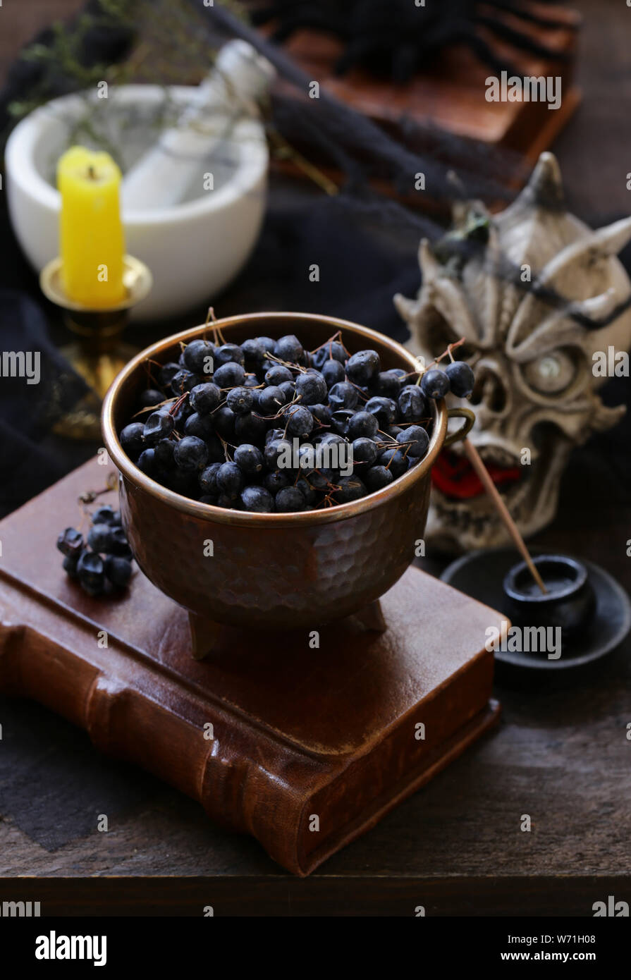 autumn still life for halloween - the witch brews a potion Stock Photo ...