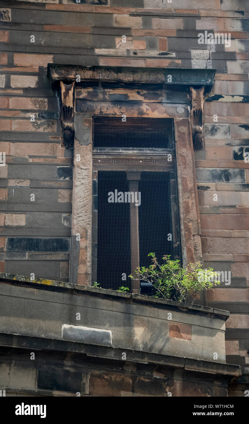 Glasgow, Scotland, UK. 3rd August 2019: Close-up shots of the Caledonia ...