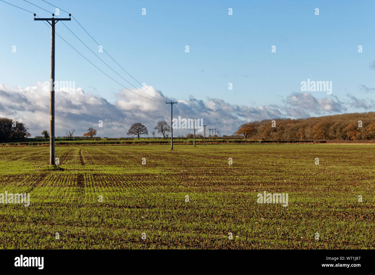 Row of power poles hi-res stock photography and images - Alamy