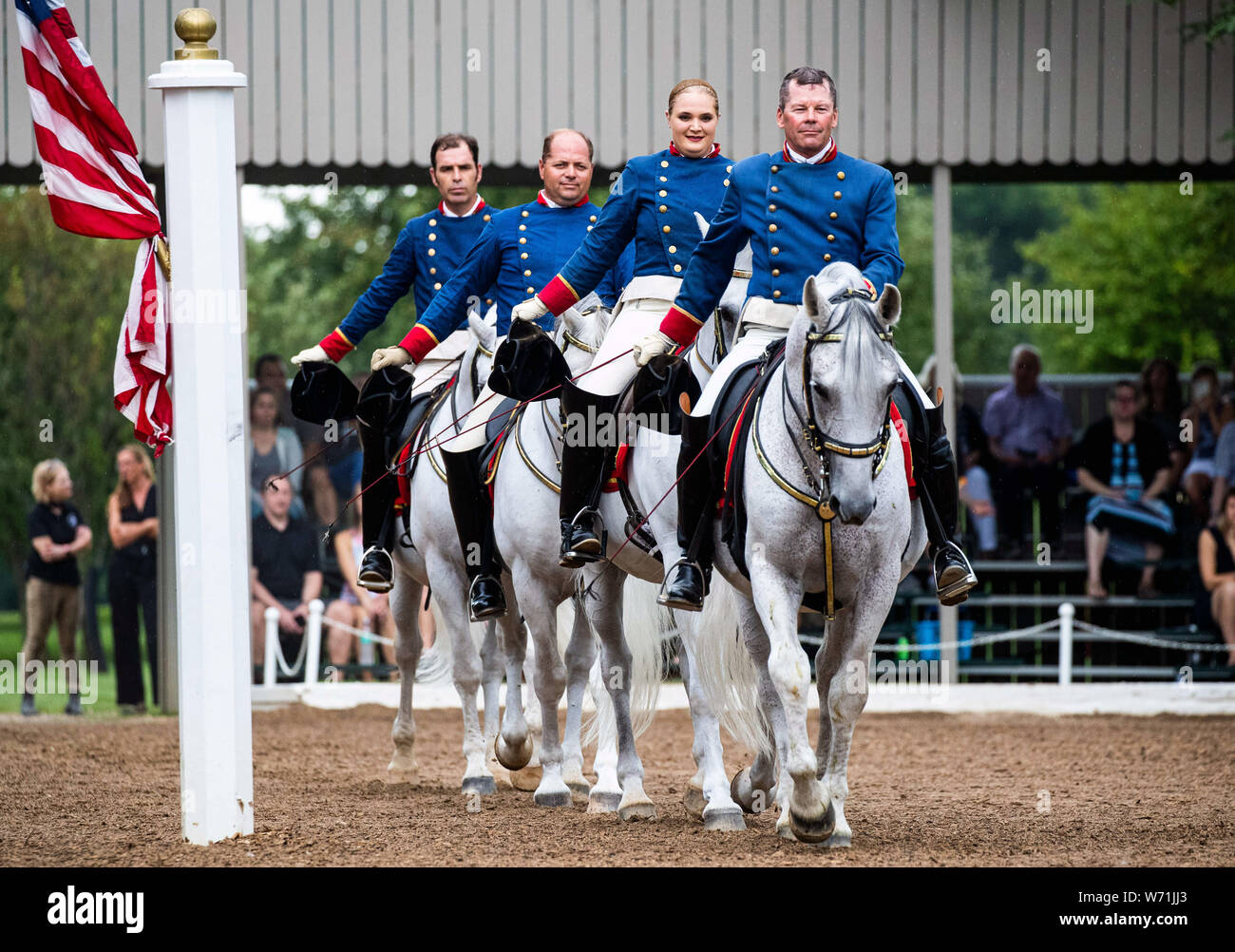 Lipizzans hi-res stock photography and images - Alamy