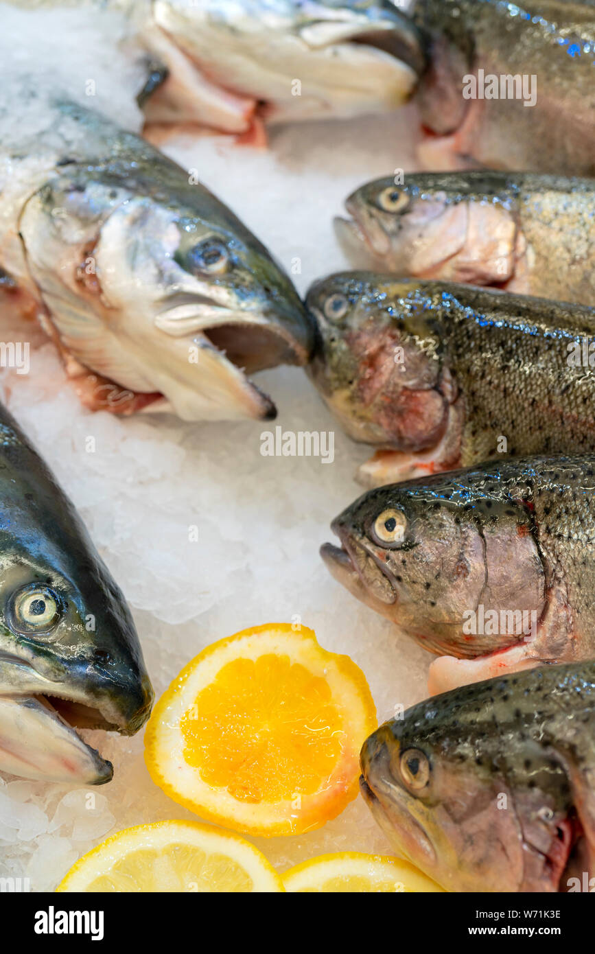 Fresh trout fish on an ice counter in a supermarket Stock Photo - Alamy