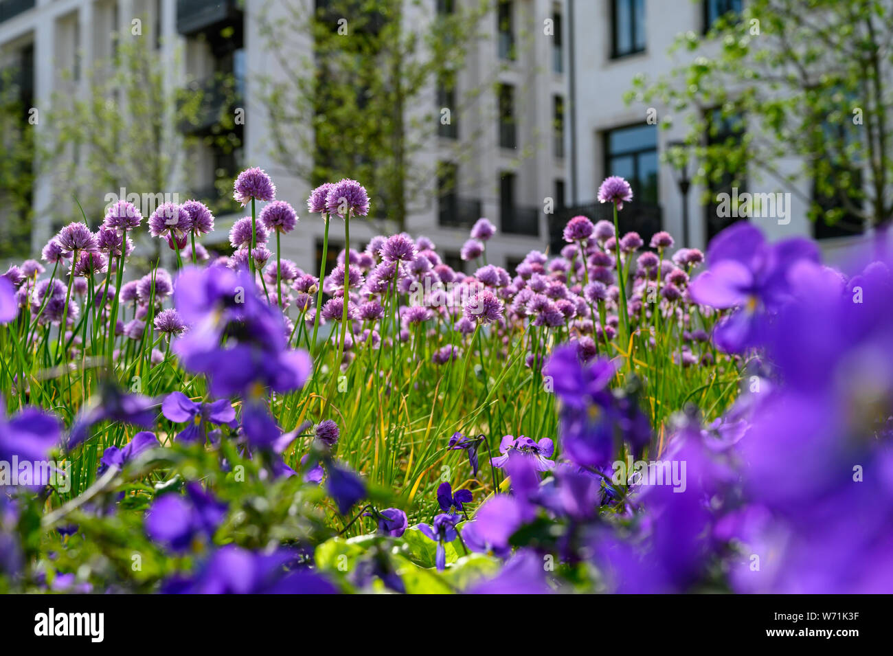 Chelsea Barracks landscape, London Stock Photo - Alamy
