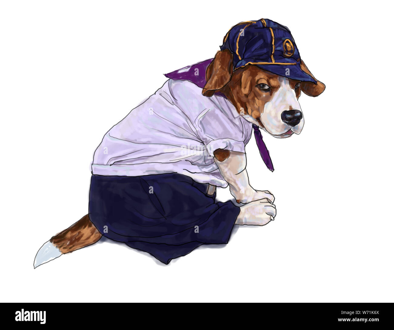 Adorable beagle dog wear student' s uniform on white background Stock ...