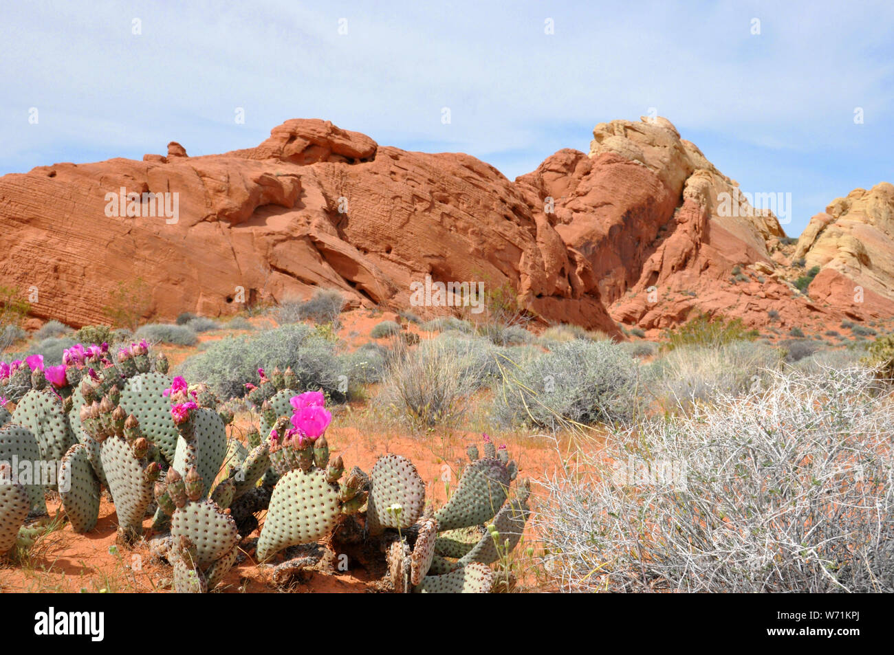 valley of fire in nevada Stock Photo - Alamy