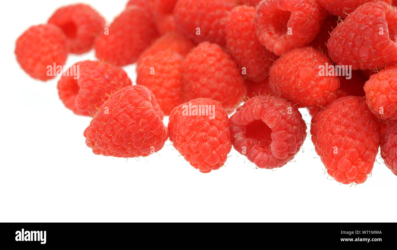 raspberry on white background Stock Photo - Alamy
