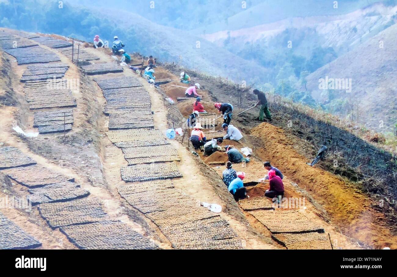 Dahei hi-res stock photography and images - Alamy