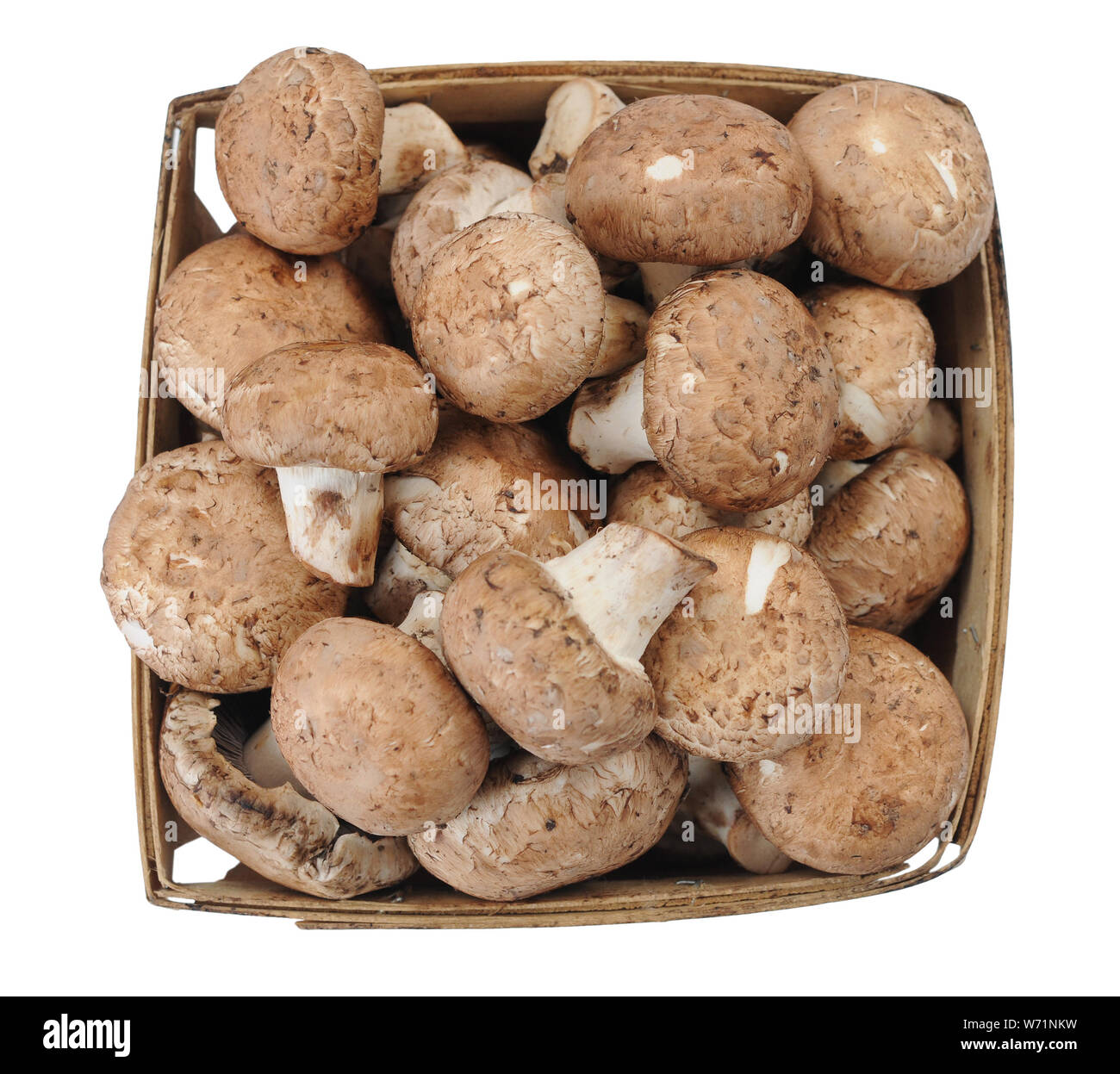 mini portabella mushroom in bucket isolated on white Stock Photo - Alamy