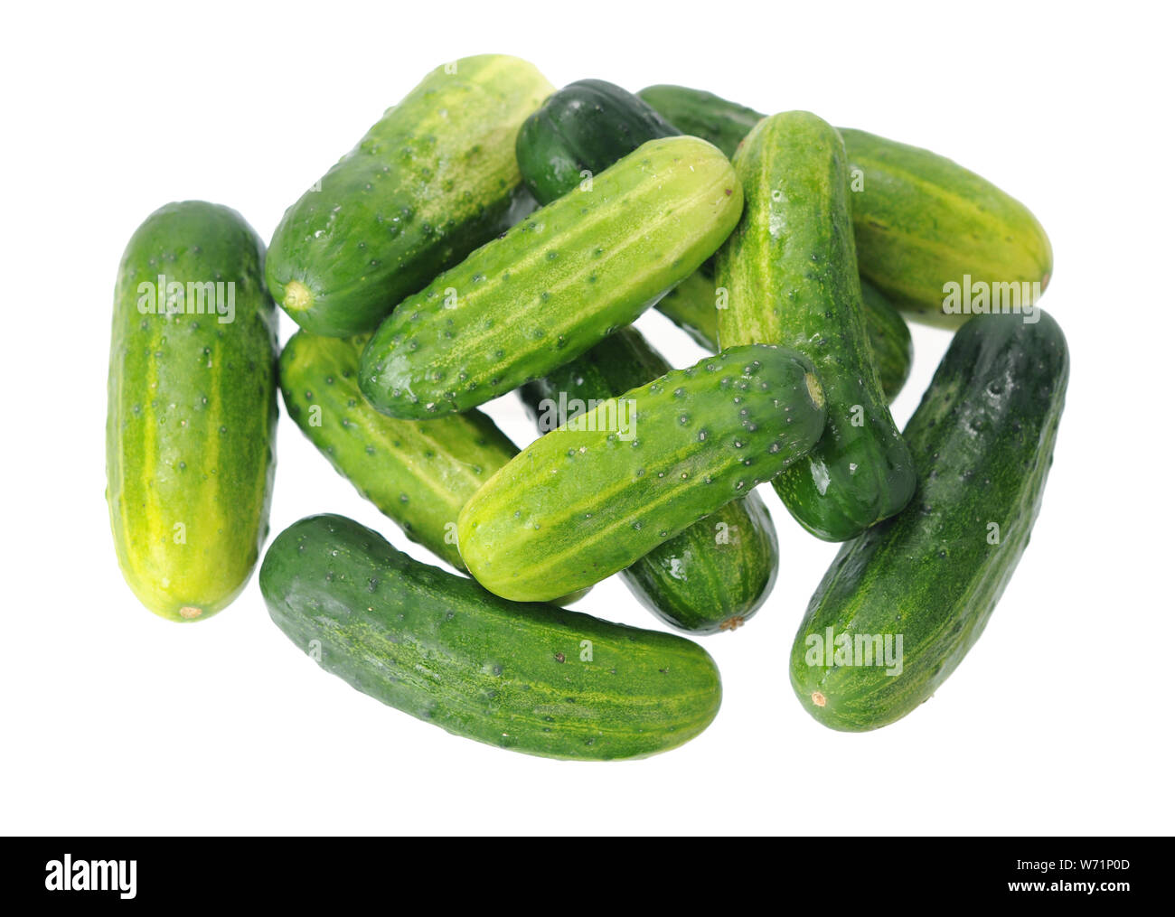 organic pickle (just picked up) isolated on white background Stock ...