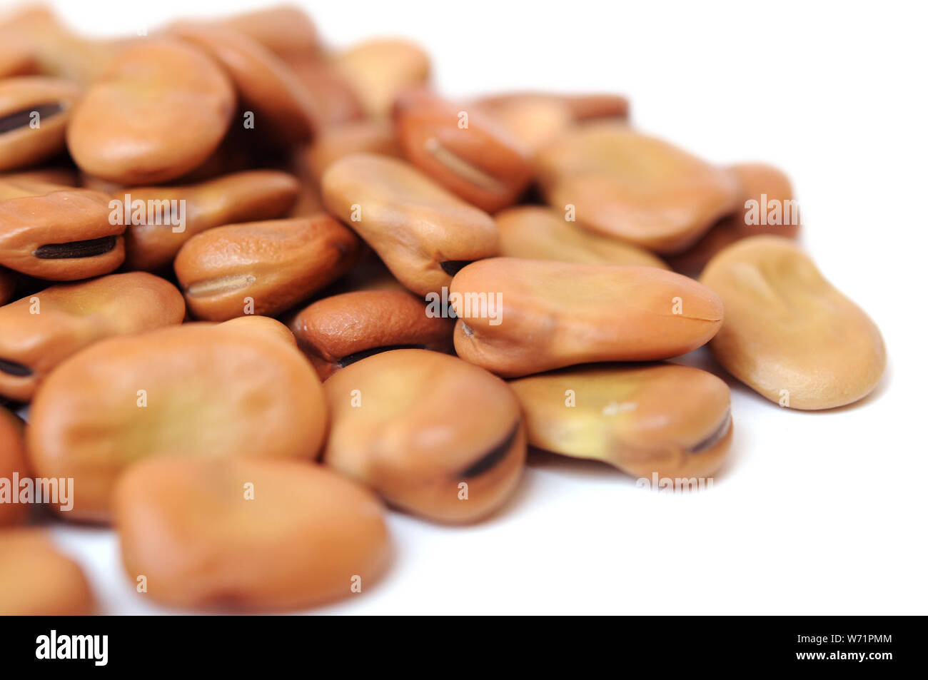 a group of fava bean on white Stock Photo - Alamy