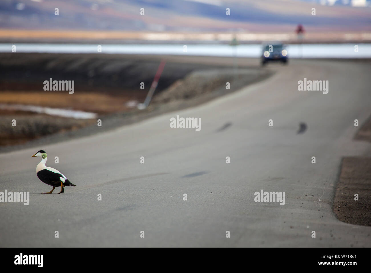 Craning your neck hi-res stock photography and images - Alamy