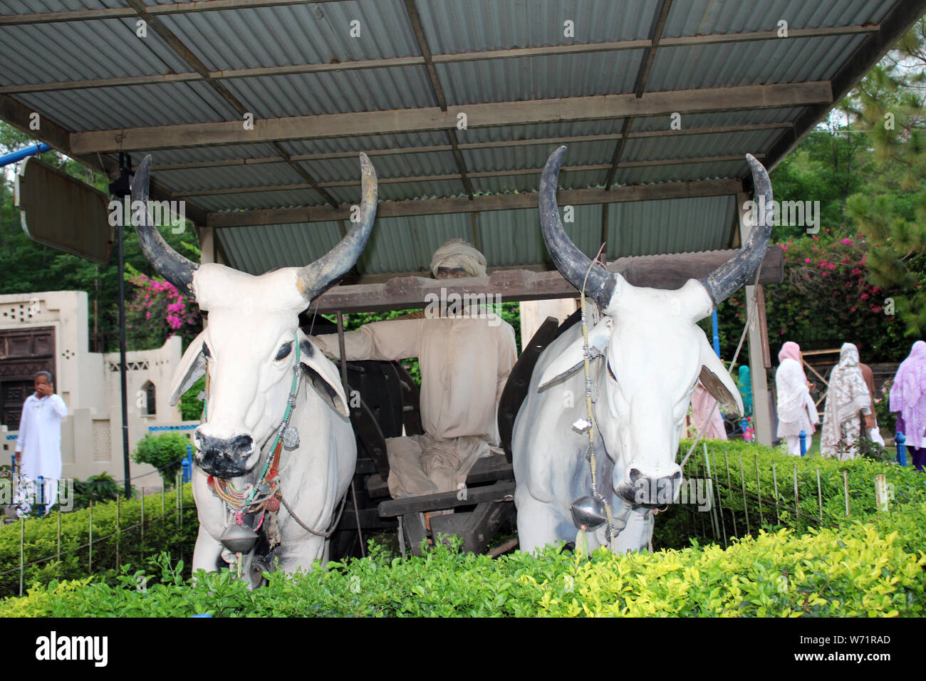 ox cart sculpture punjab culture lok virsa Islamabad Pakistan Stock ...