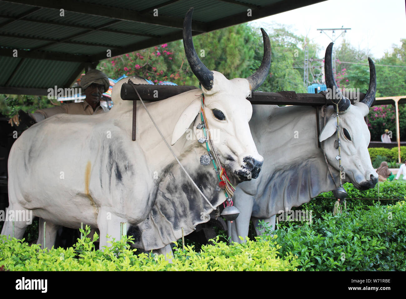 ox cart sculpture punjab culture lok virsa Islamabad Pakistan Stock ...