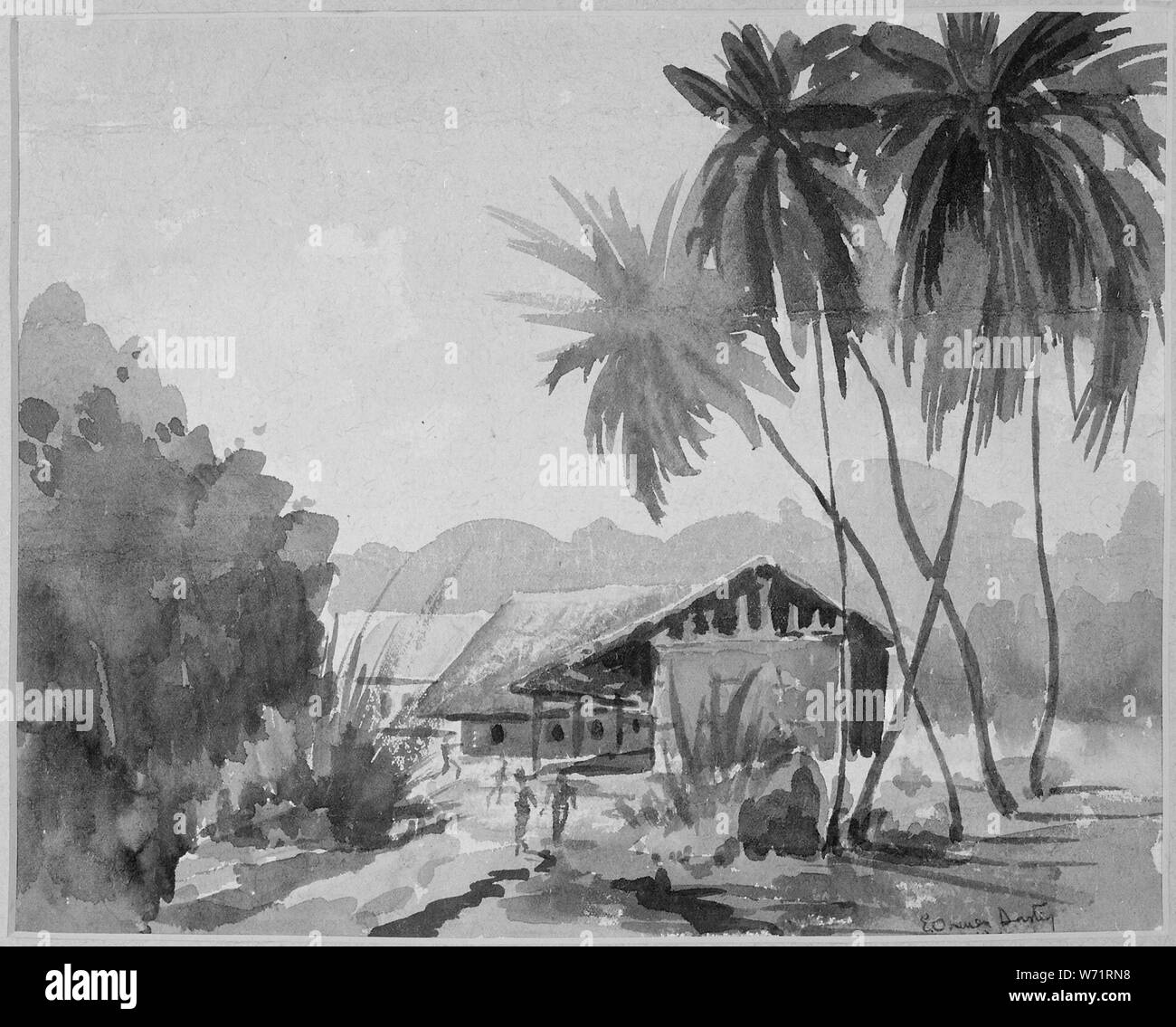 Cottage garden tree Black and White Stock Photos & Images - Alamy