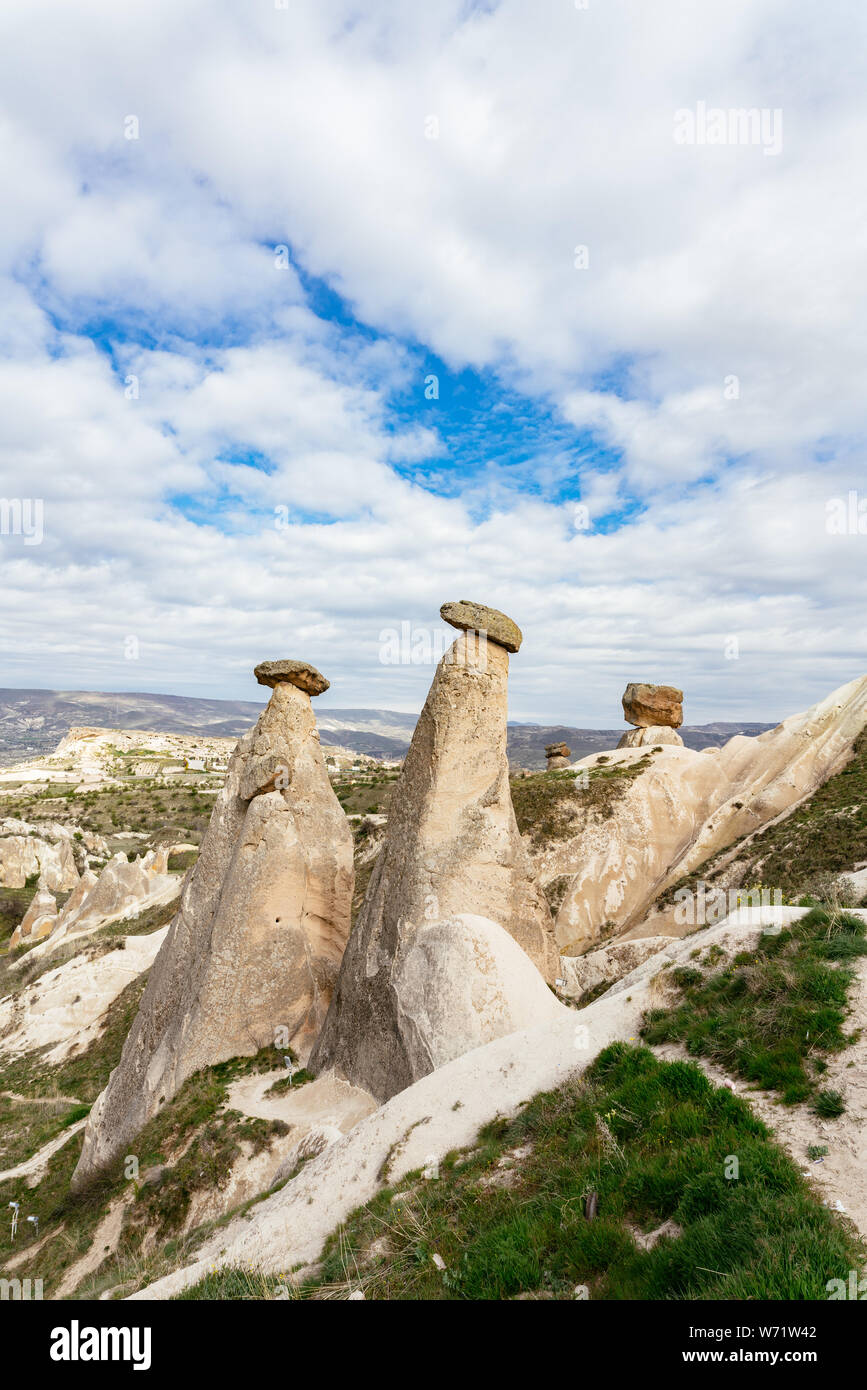 Beauties hi-res stock photography and images - Alamy