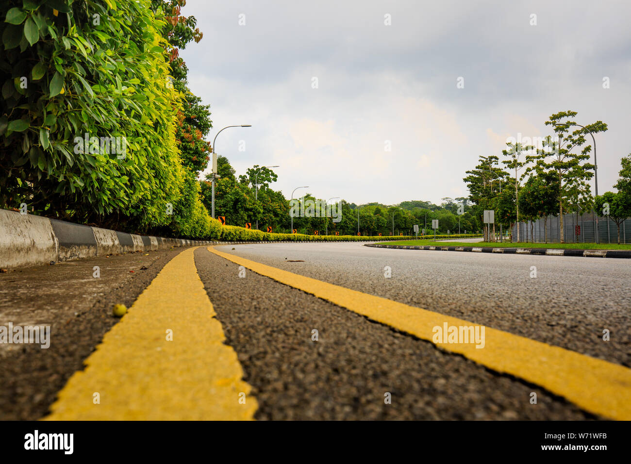 country road with yellow line through the forest green area Stock Photo ...