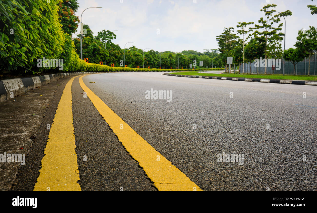 country road with yellow line through the forest green area Stock Photo ...