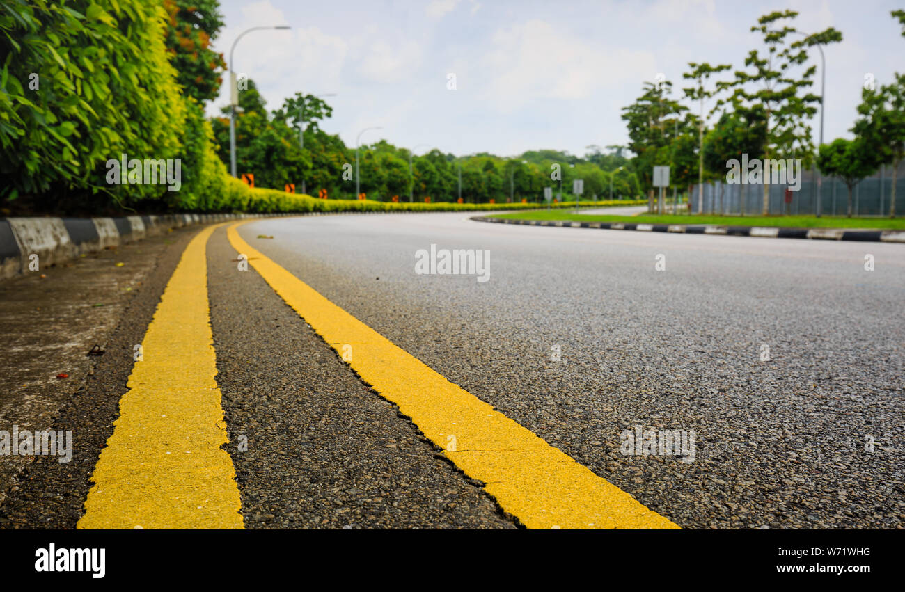 country road with yellow line through the forest green area Stock Photo ...